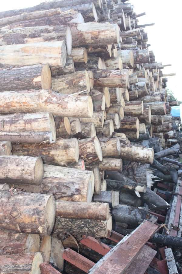 Round Timber Store round-timber-store